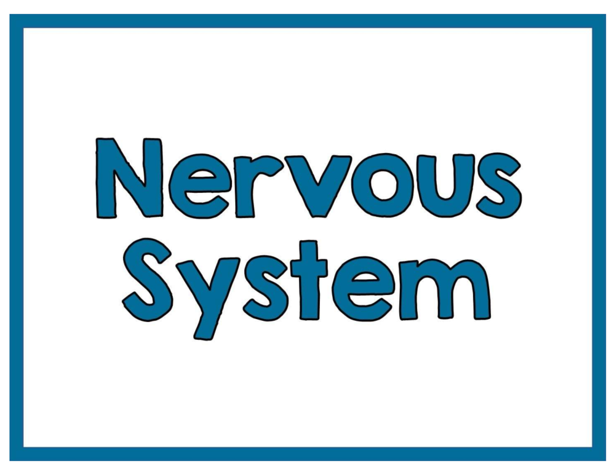 CNS & PNS Overview: Structure, Function, and Impulse Transmission ...