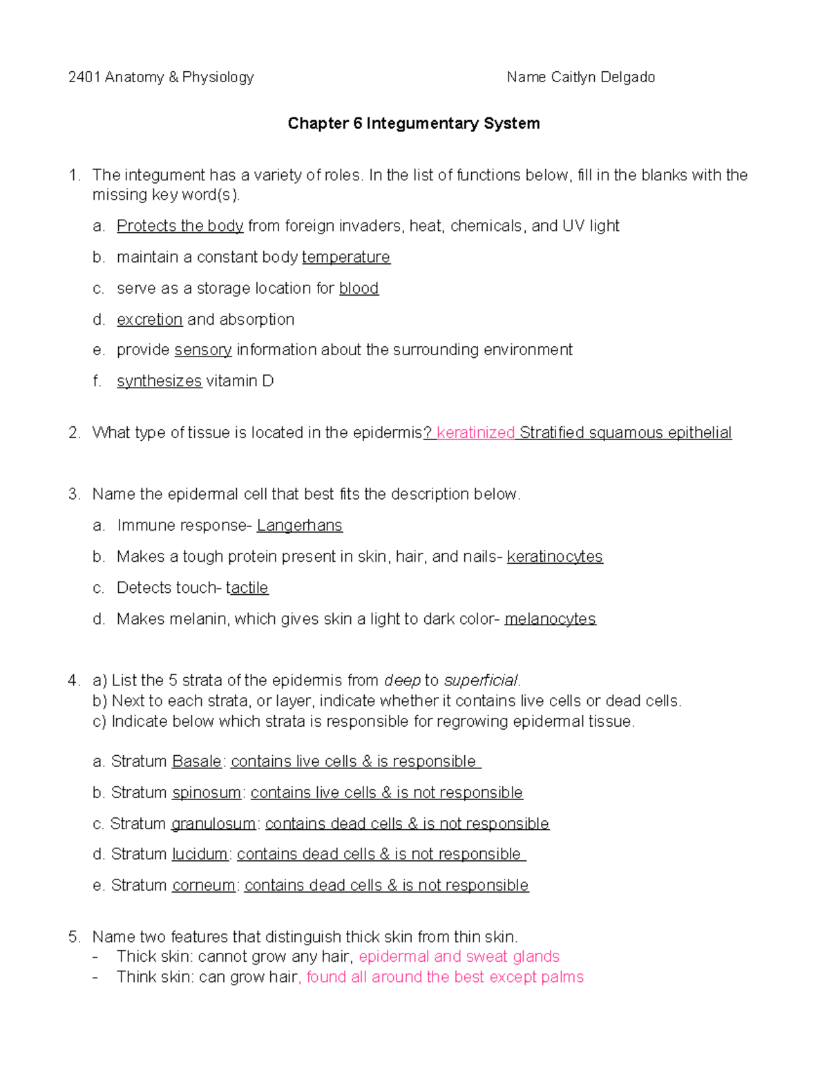 Anatomy & Physiology: Chapter 6 Integumentary System Notes (2401) - Studocu