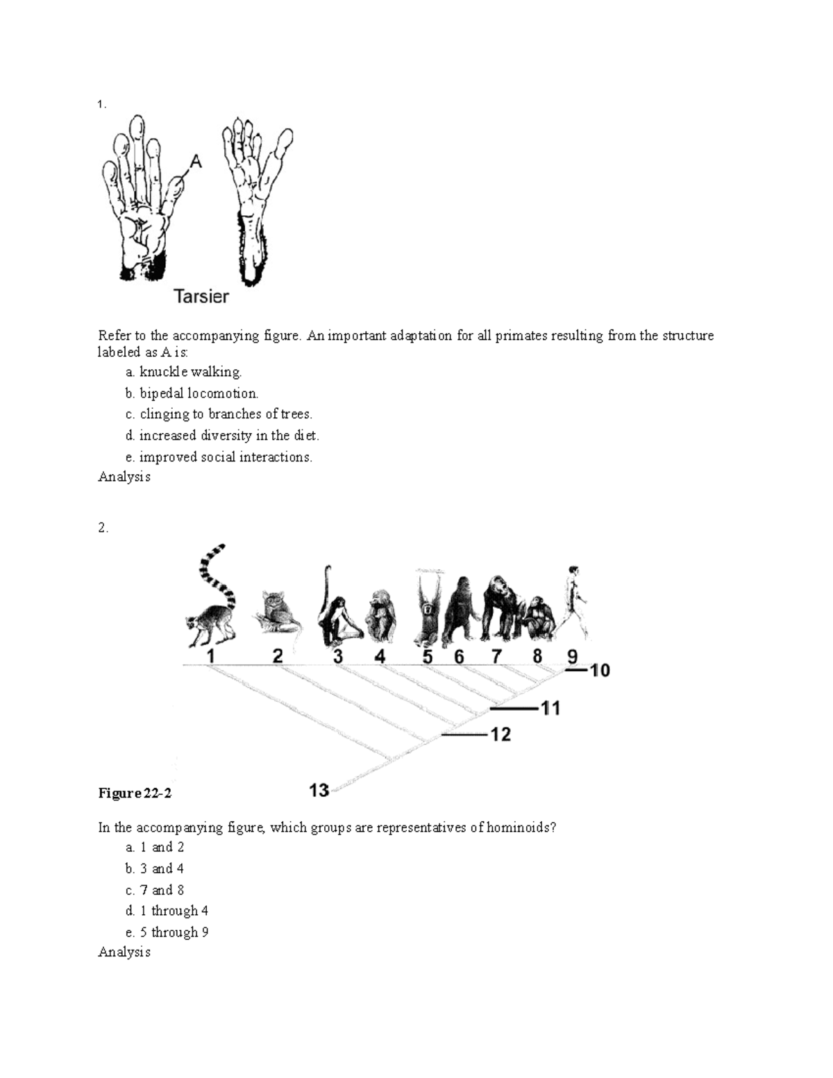 Exam 2 Practice Questions SP25: Primates, Echinoderms & Neuron ...