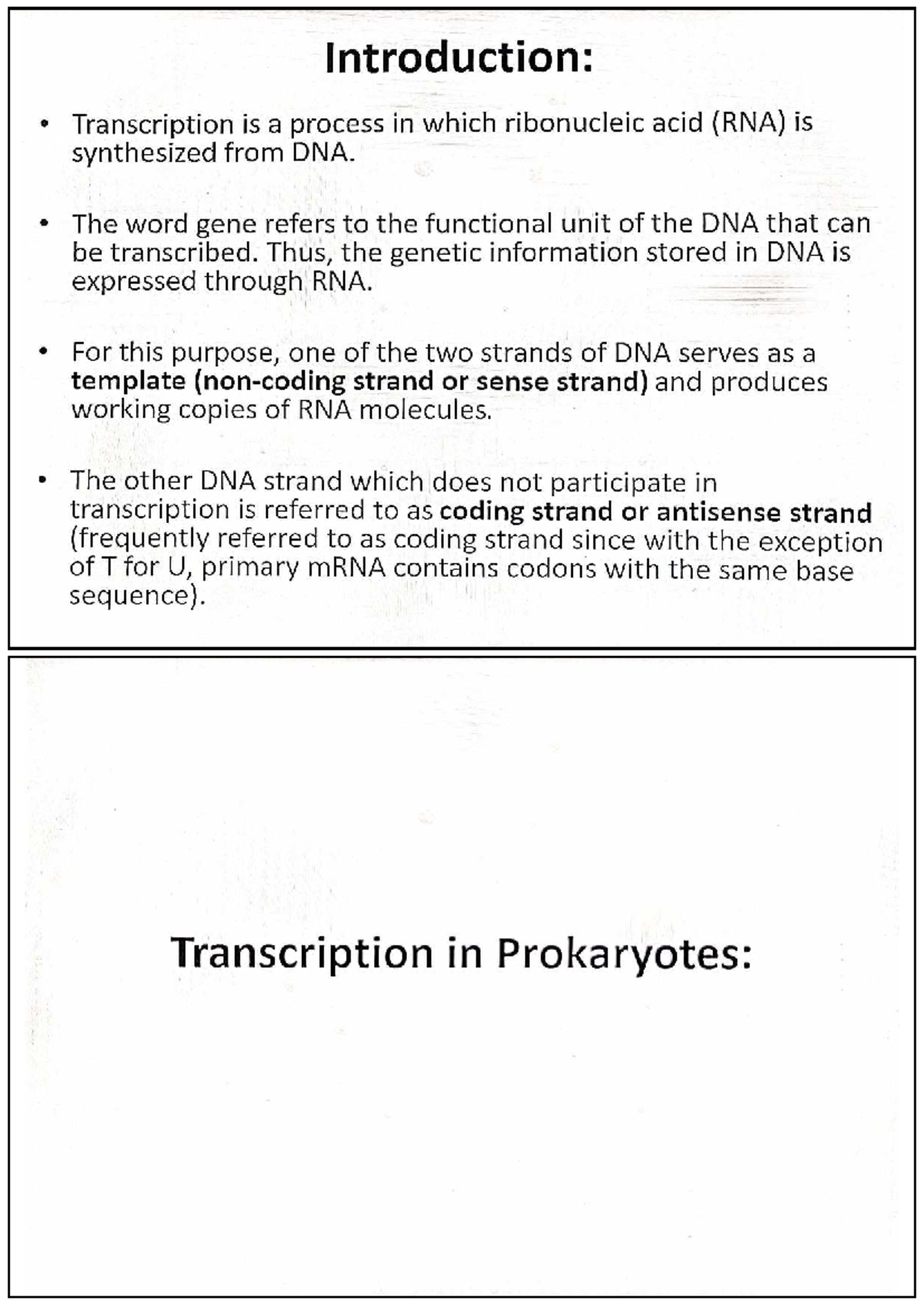 Transcription Process in Prokaryotes and Eukaryotes: A Detailed ...