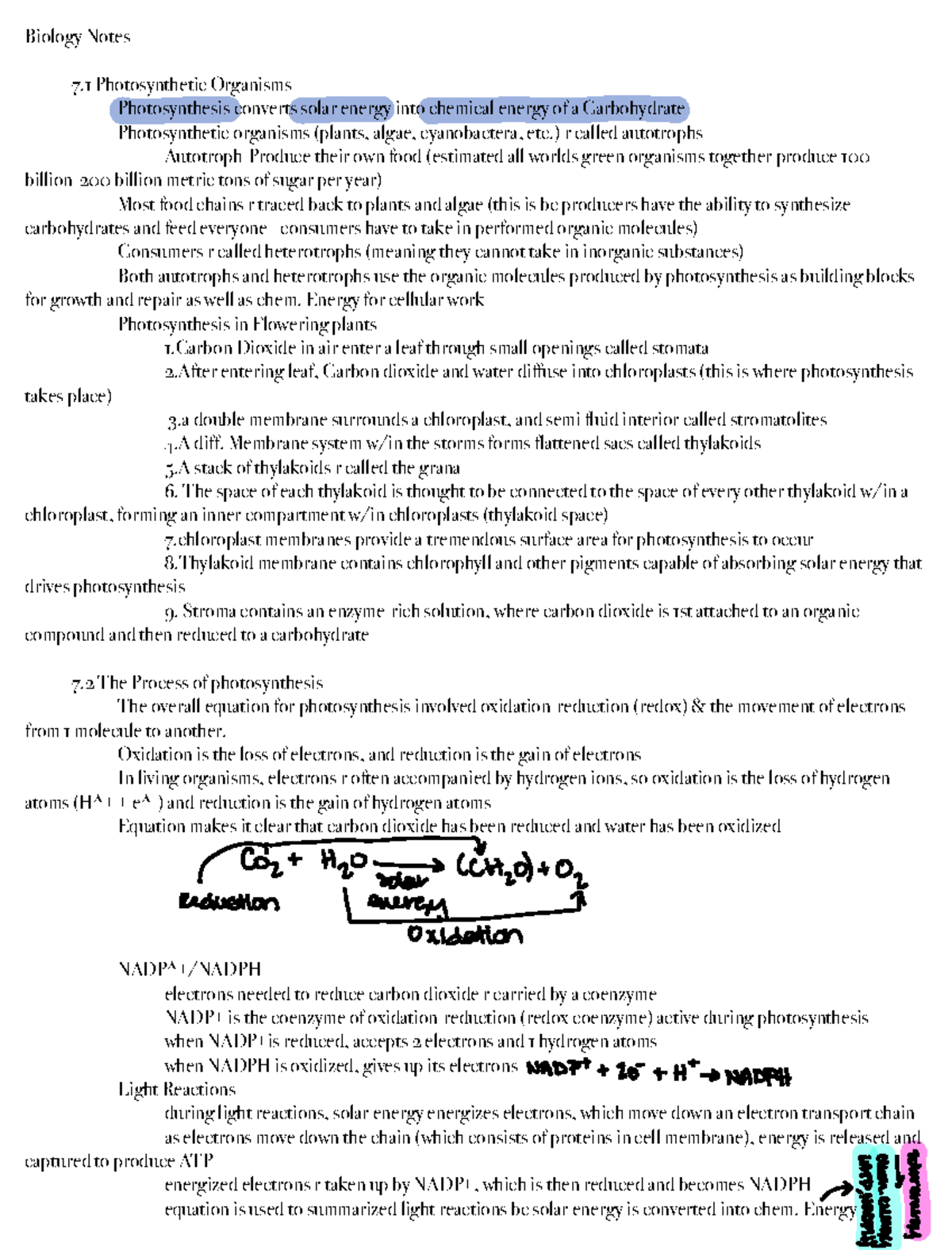 Chapter 7 Biology Notes: Photosynthesis and Energy Conversion - Studocu