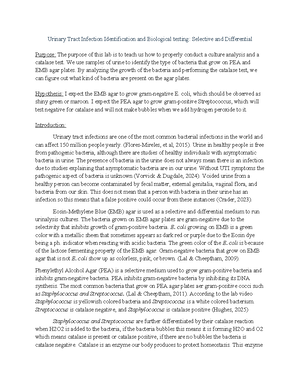 Lab 9 - Lab #9 Dichotomous Puzzle. Purpose of this lab is to learn how ...