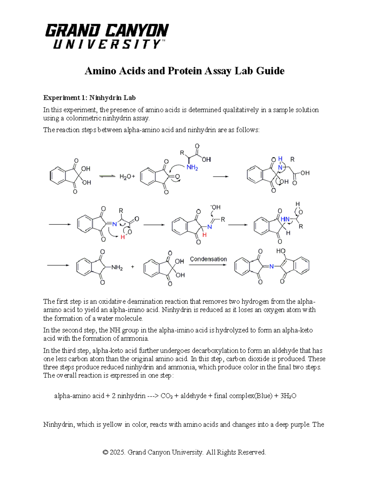 CHM 360L RS T3: Amino Acids and Proteins Assays Lab Guide - Studocu