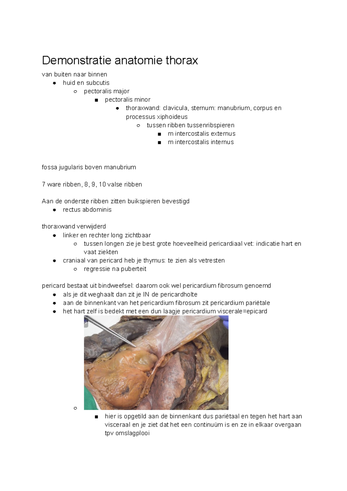 Voorbereiding Snijzaal Prosectie Anatomie Thorax: Essentiële Informatie ...