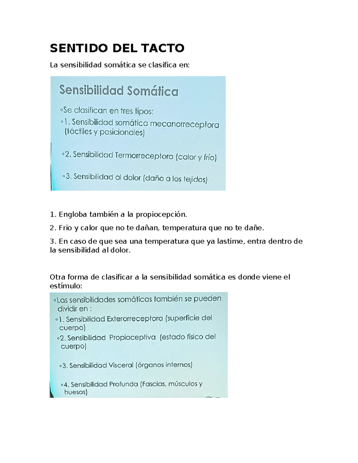 Sentido DEL Tacto - Apunte rápido - SENTIDO DEL TACTO La sensibilidad ...