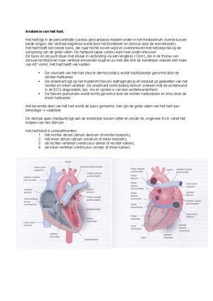[Solved] betekenis en verschillen tussen anteversie en retroversie ...