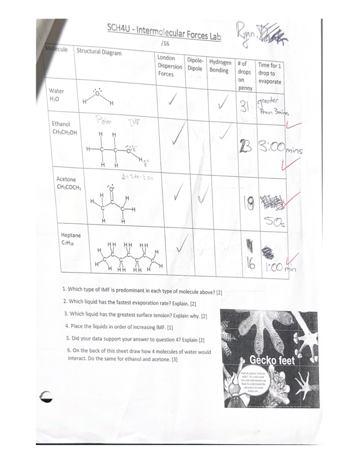 Grade 12 Chemistry - Practice Questions on Intermolecular Forces - Studocu