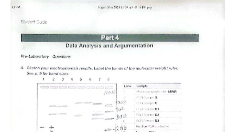 Data Analysis & Argumentation Questions for 43 PM Lab Report - Studocu