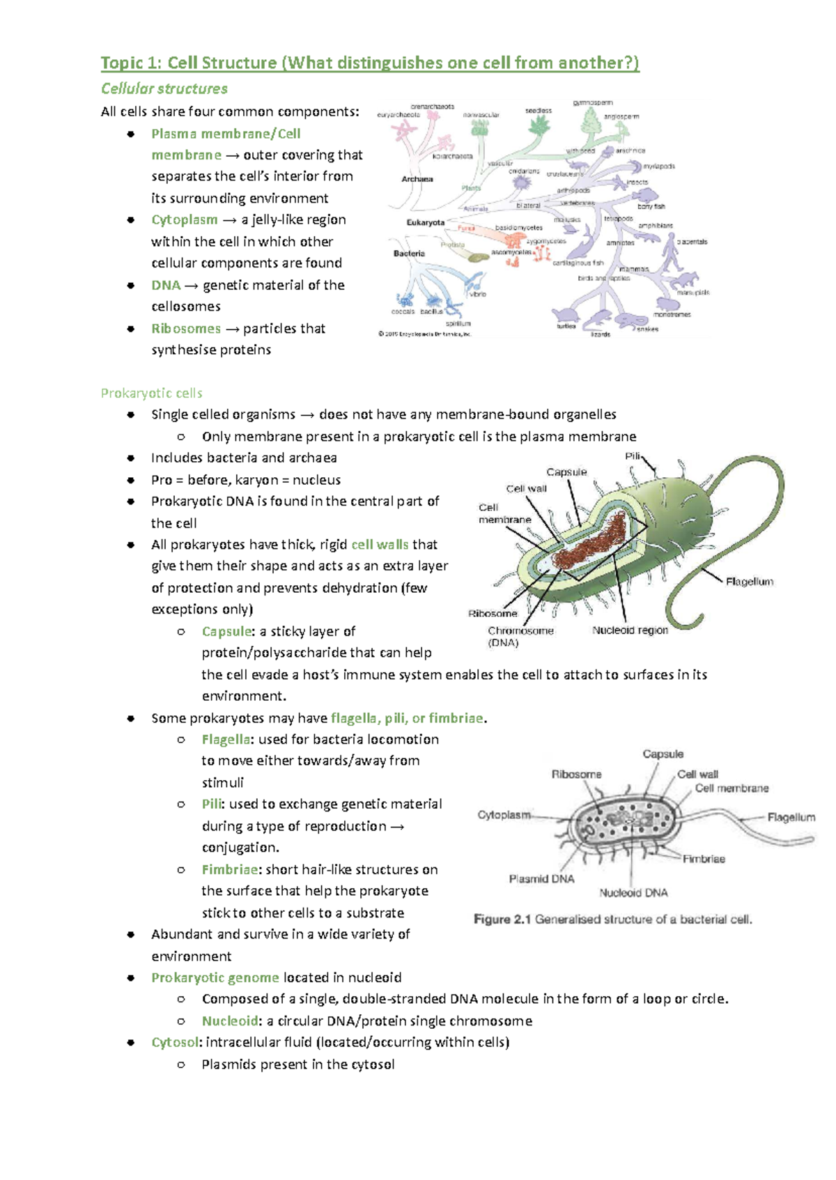 Module 201: Cells - Structure, Function, and Transport Mechanisms - Studocu