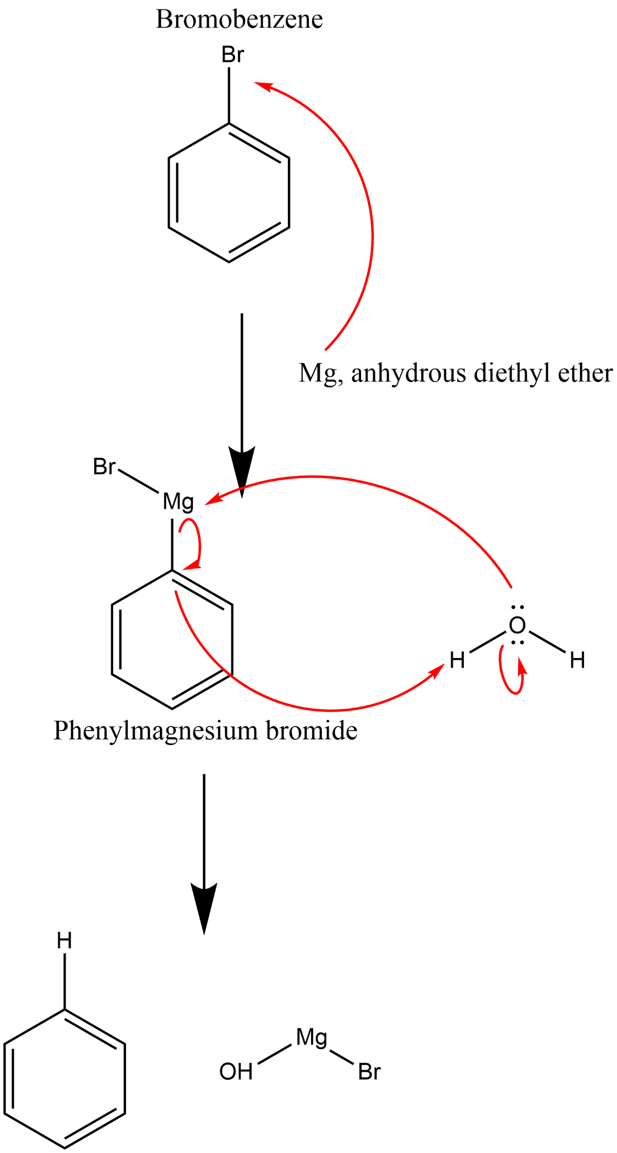 Task 7 q1 - During your Grignard formation, a small amount of benzene ...