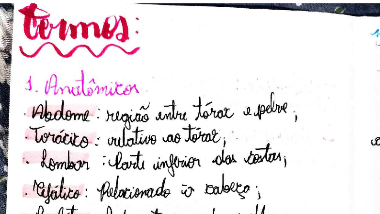 Termos Anatômicos: Anatomia do Abdômen e Regiões Relacionadas - Studocu