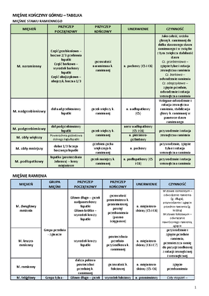 Stawy kończyny górnej - Staw mostkowo-obojczykowy Typ stawu: kulisty ...