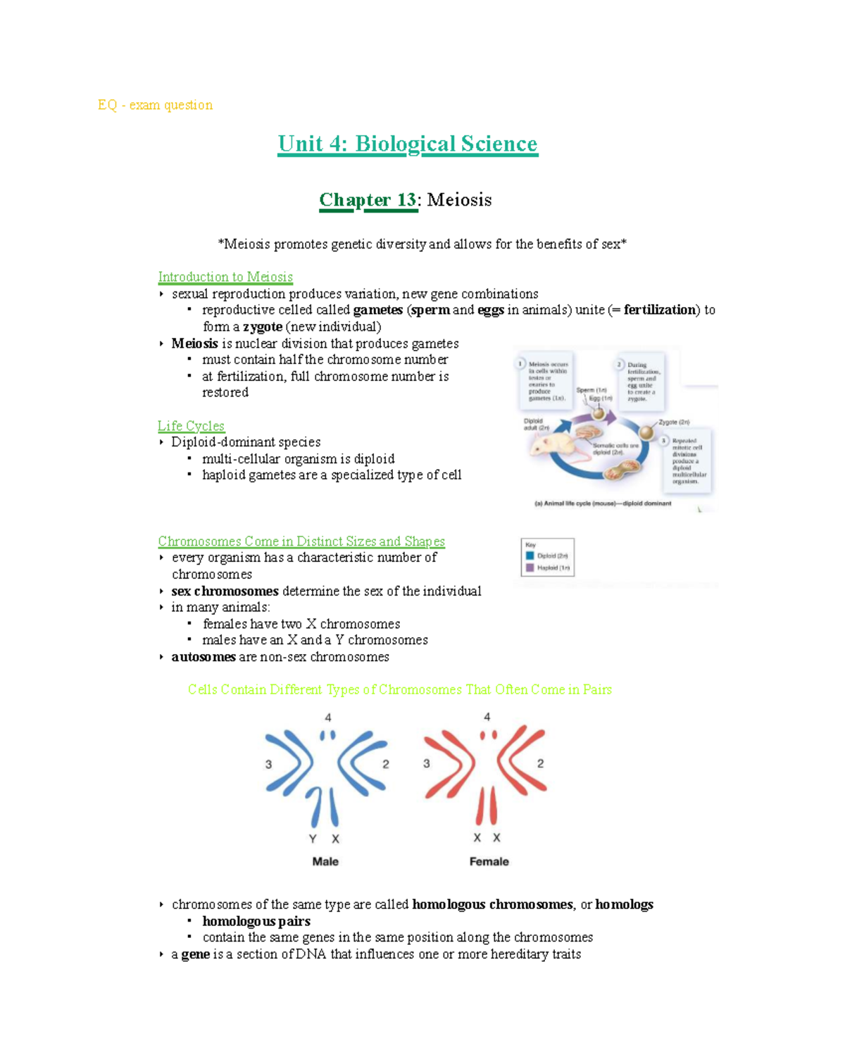 Unit 4: Biological Science - Chapter 13: Overview of Meiosis Process ...