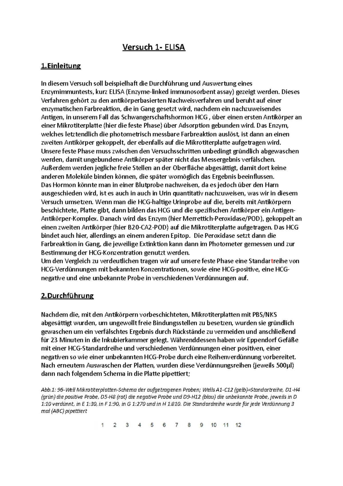 Elisa korrigiert - Versuch 1- ELISA 1 In diesem Versuch soll beispielhaft die Durchführung und ...