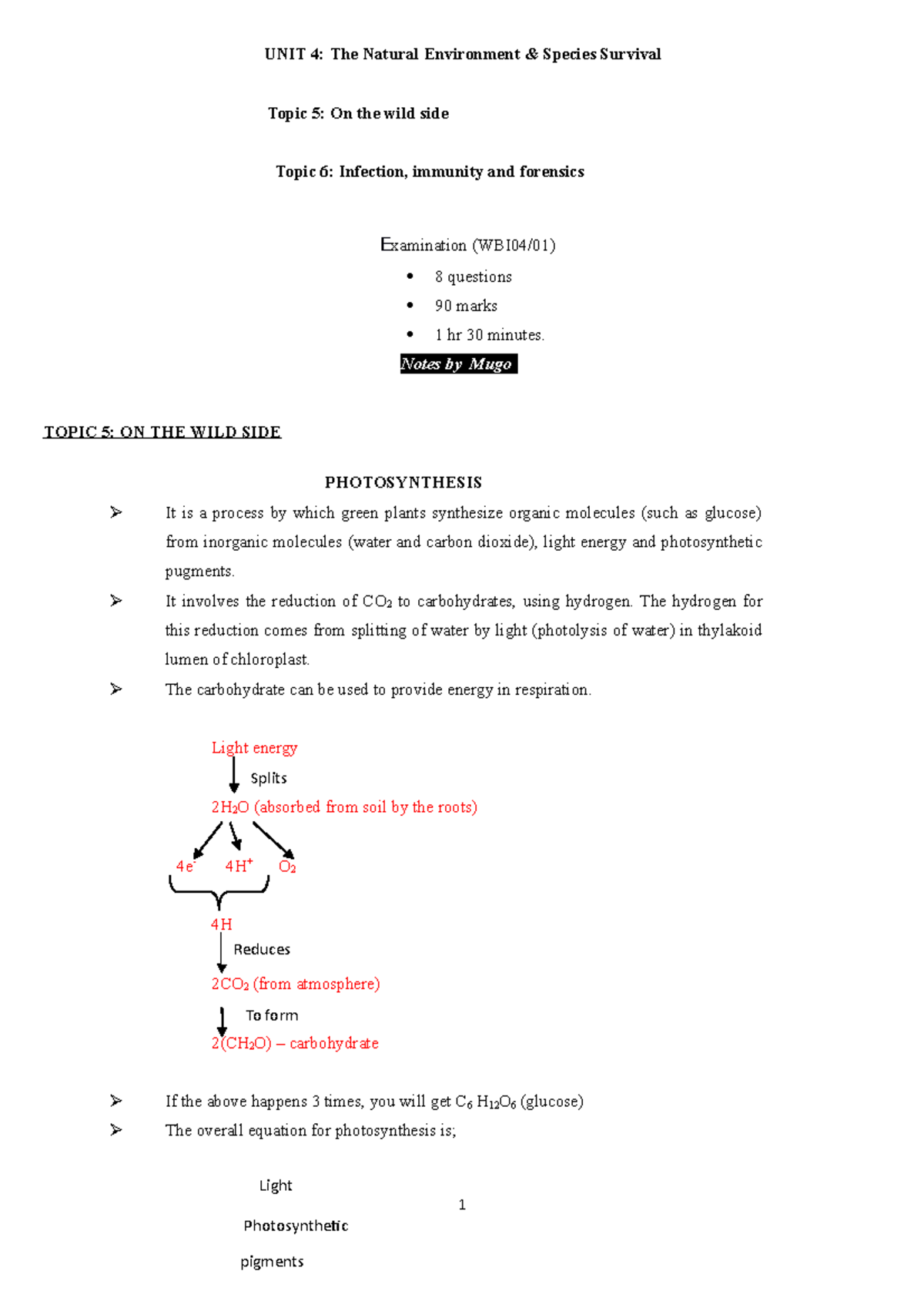 UNIT 4 notes 1 eg 111 for human synthesis - UNIT 4: The Natural ...