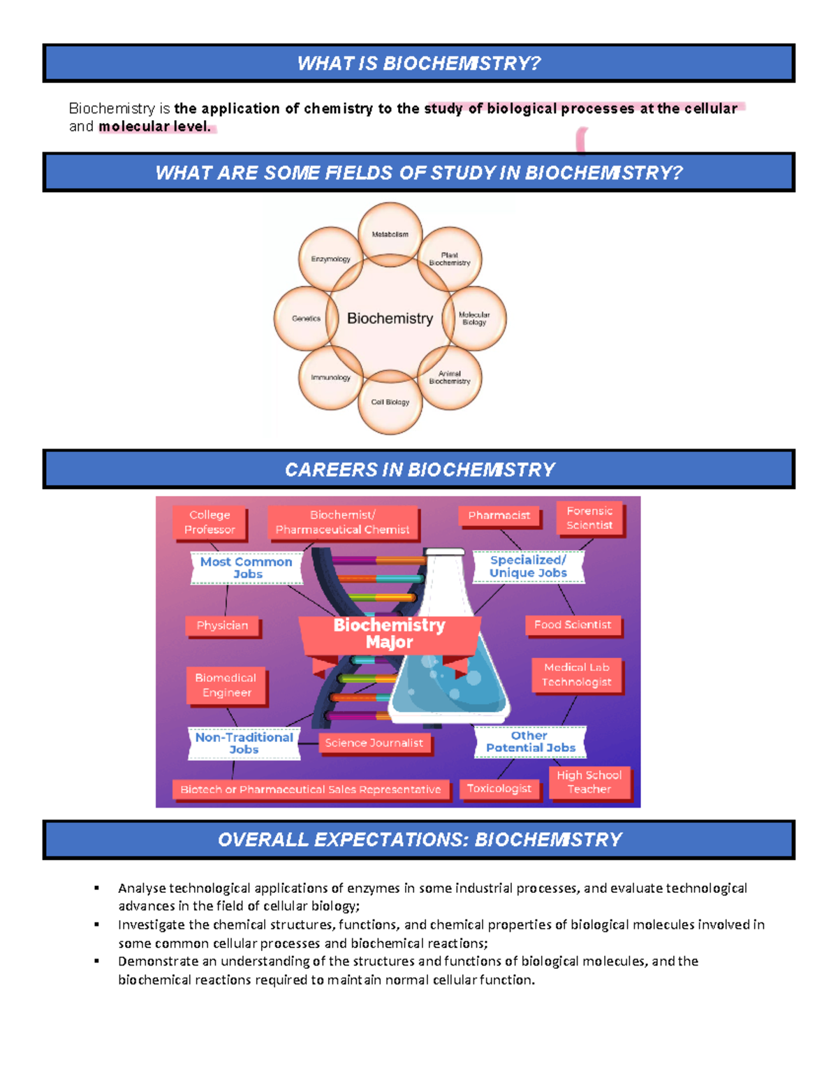Biochemistry 101: Key Concepts and Molecular Interactions - Studocu