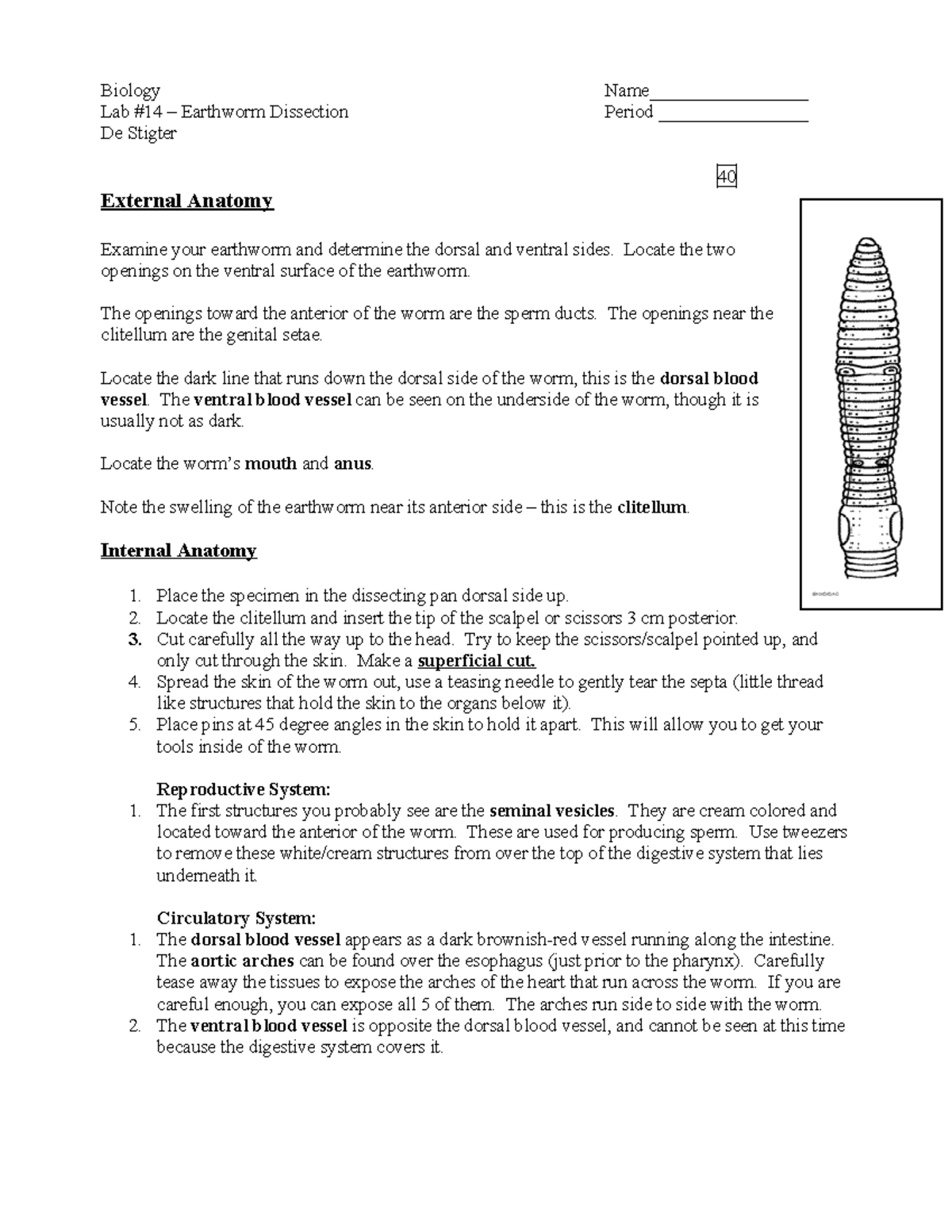 Lab #14: Detailed Earthworm Dissection Guide & Anatomy Overview - Studocu