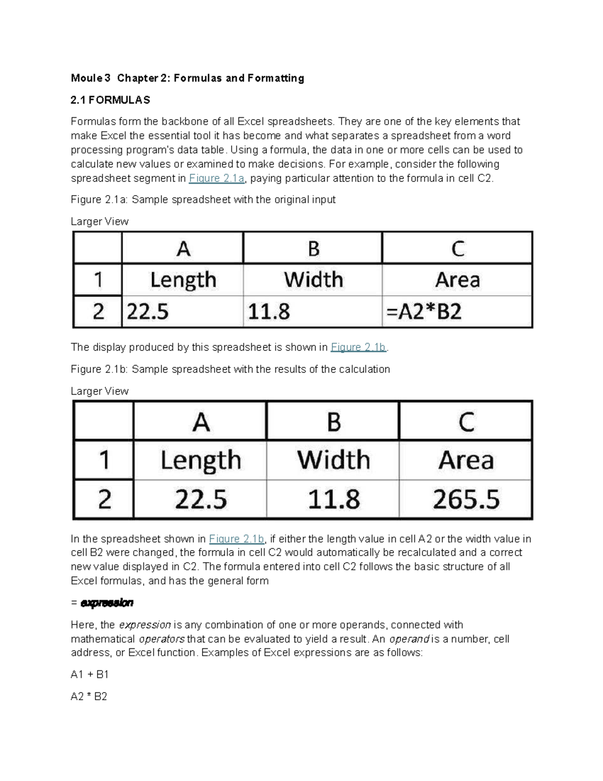 Moule 3 Chapter 2: Understanding Formulas & Formatting in Excel - Studocu