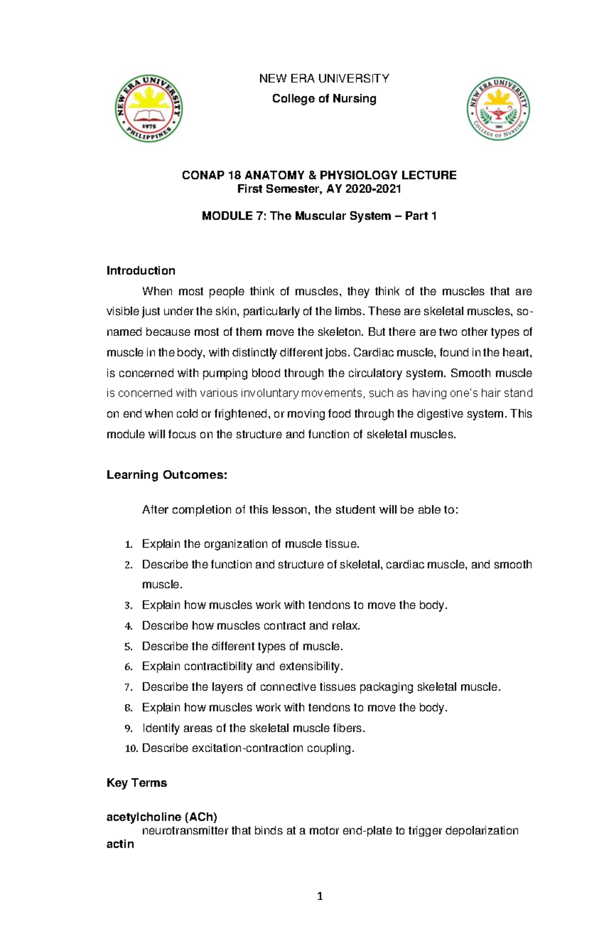 Module 7 The Muscular System Part 1 - NEW ERA UNIVERSITY College of ...