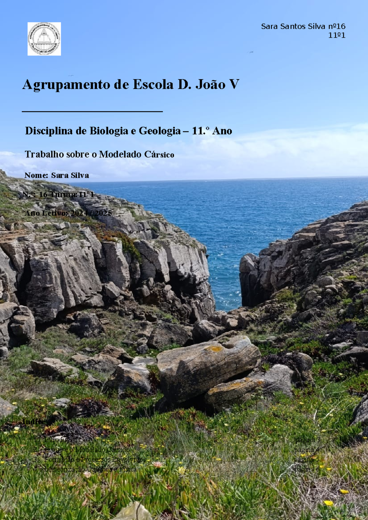 Trabalho sobre Modelado Cársico – Biologia e Geologia 11.º Ano - Studocu