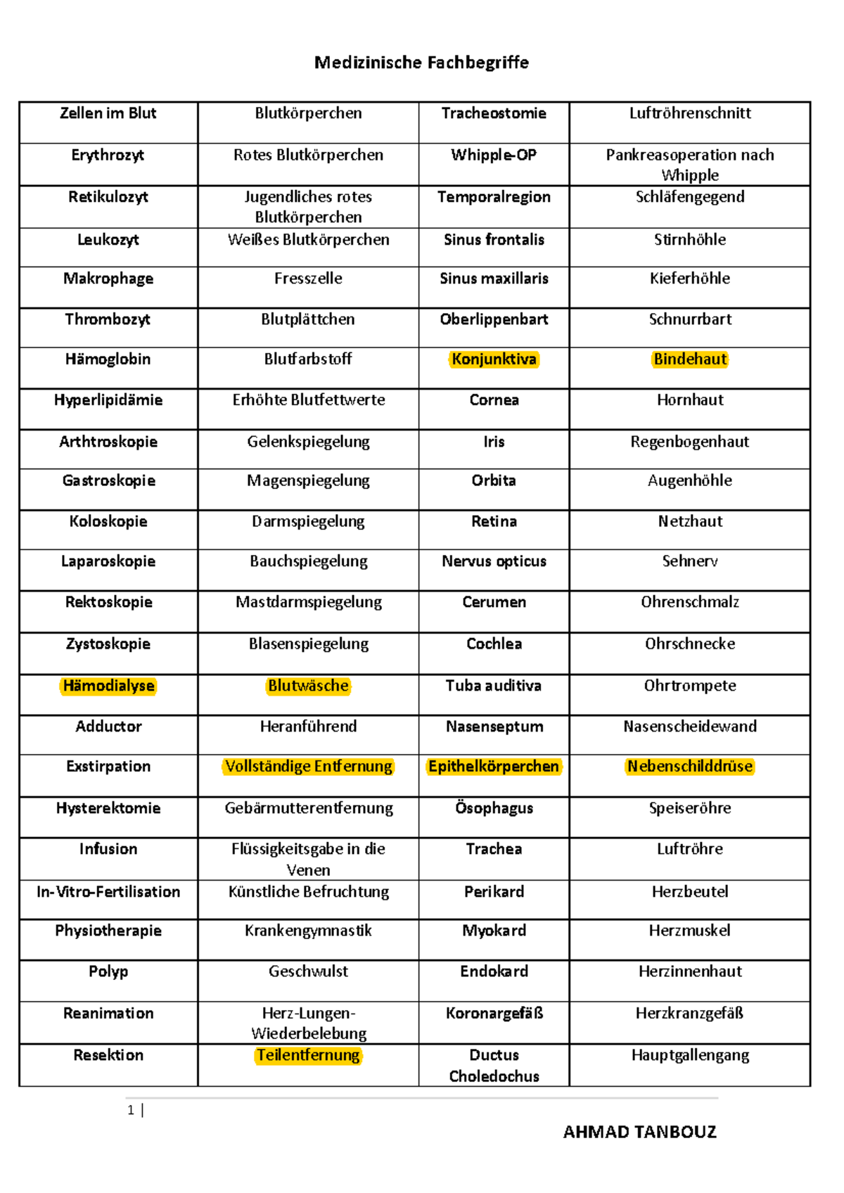 Begriffe-ALL-IN - Fsp Begriffe - Medizinische Fachbegriffe Zellen im ...