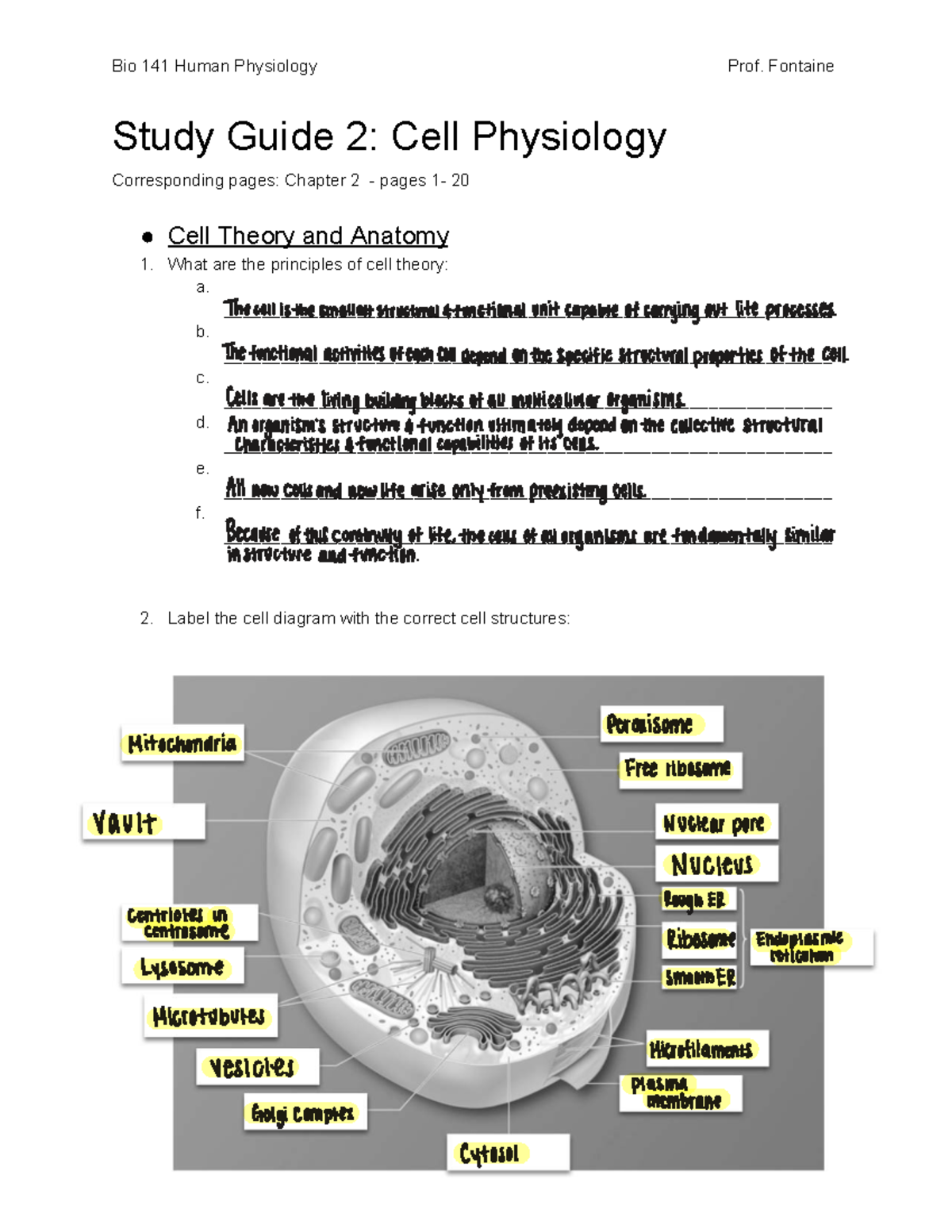 Bio 141 Study Guide: Cellular Respiration & Cell Physiology Notes - Studocu