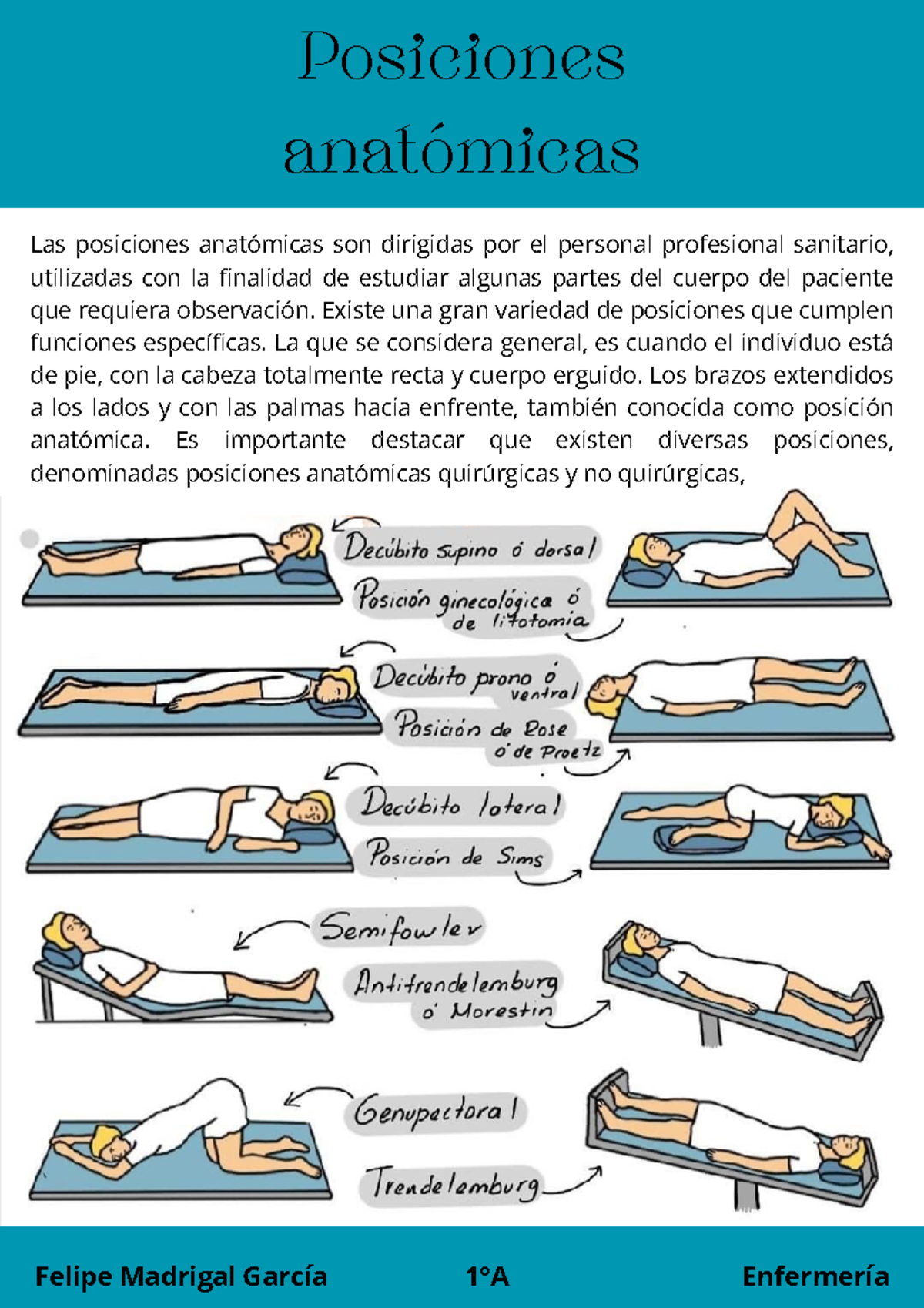 Infografia Posiciones Anatomicas - Las posiciones anatómicas son ...