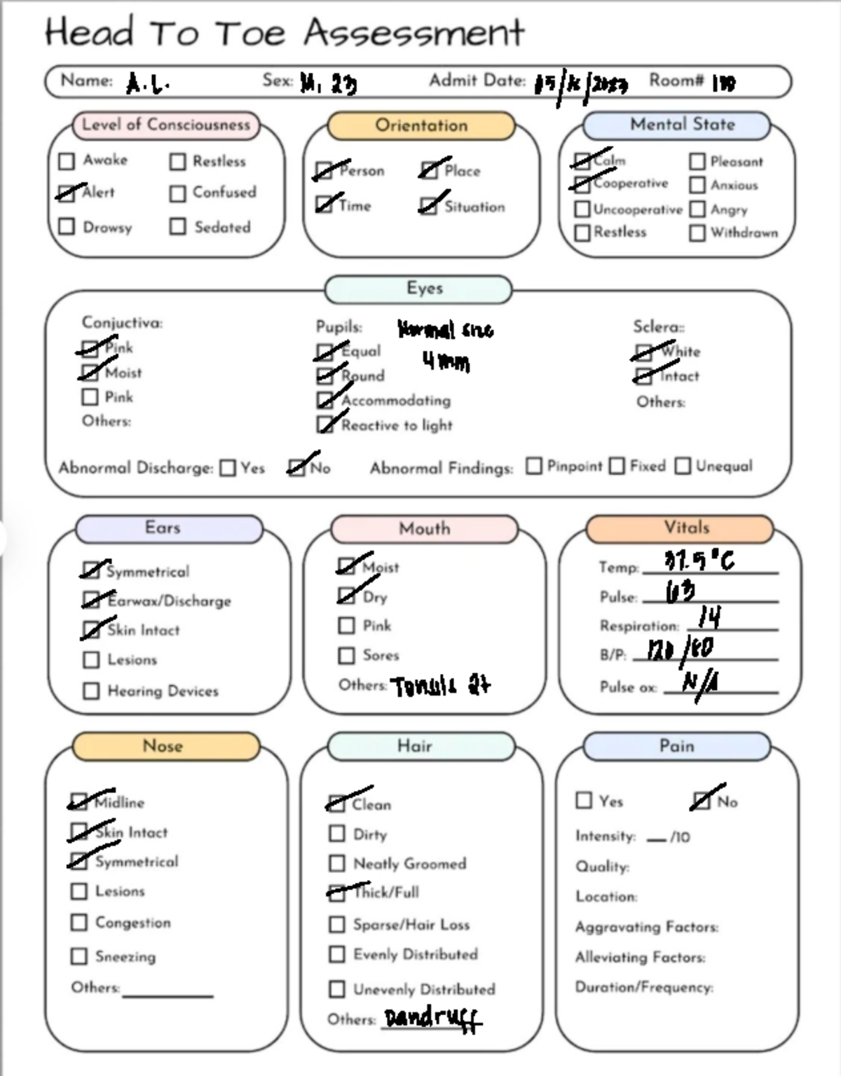 HEAD TO TOE Checklist FORM 1 - Health Assessment - A. L. M, 23 05/10 ...