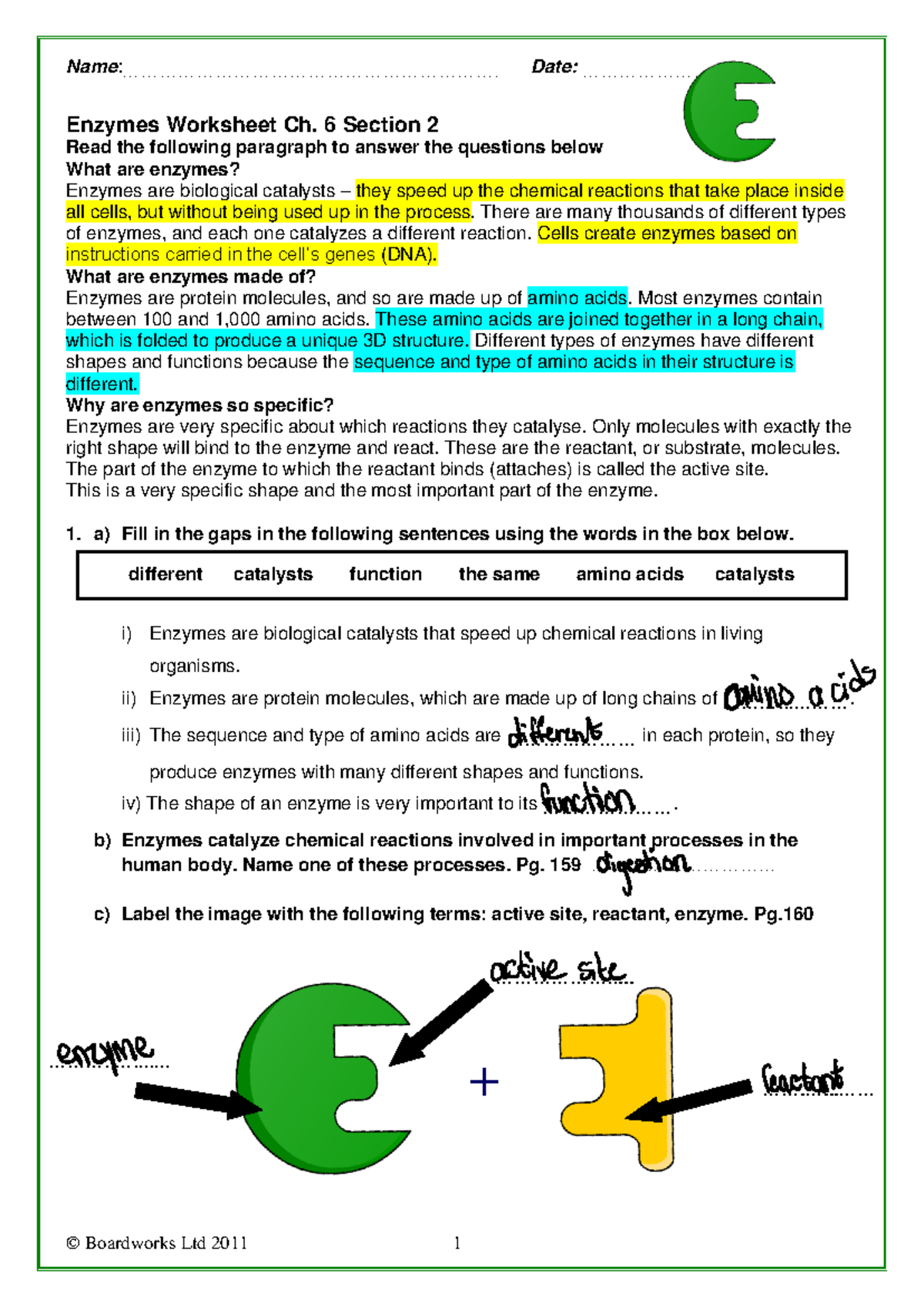 Digestive Enzymes Worksheet Ch. 6 Sec. 2 - Study Guide - Studocu