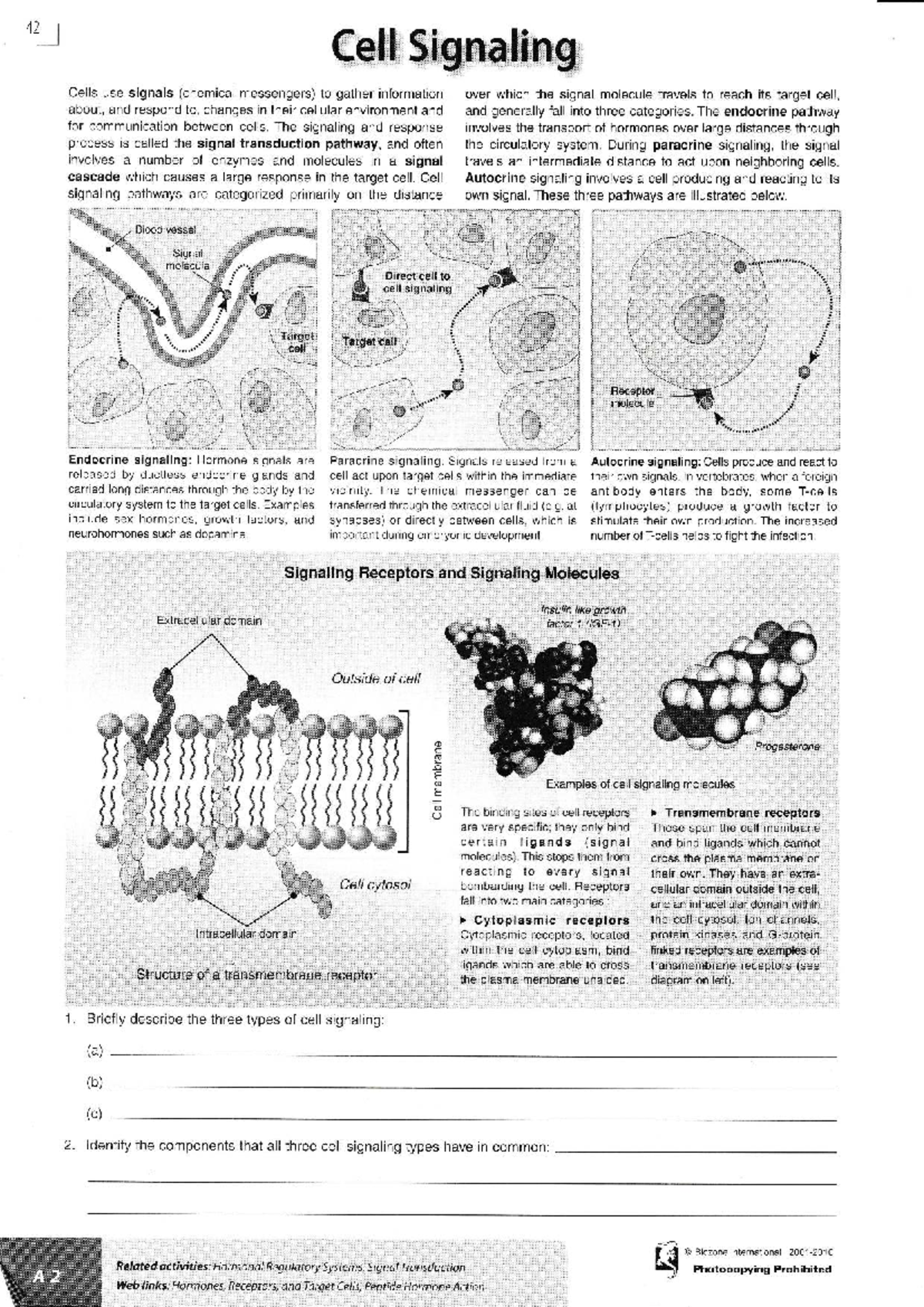 Worksheet 4 - Cell Signaling: Understanding Signal Transduction ...