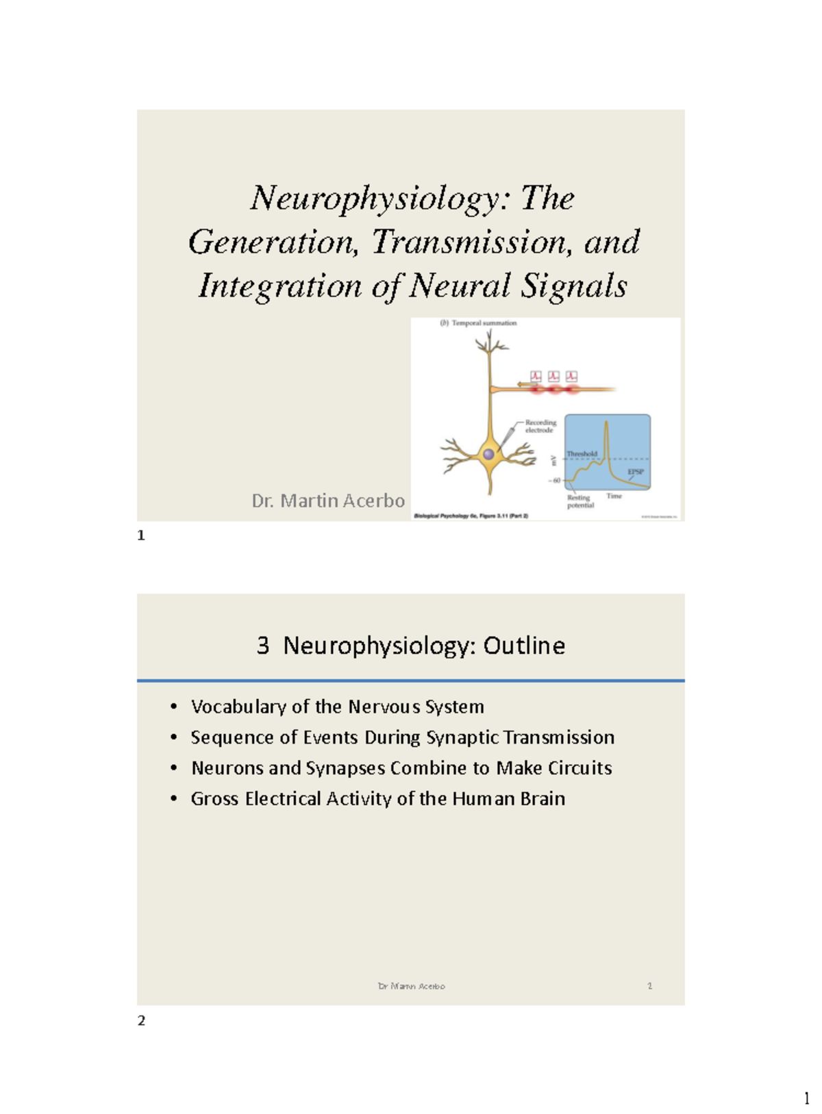 Neurophysiology 1: Neural Signals & Synaptic Transmission Overview - Studocu