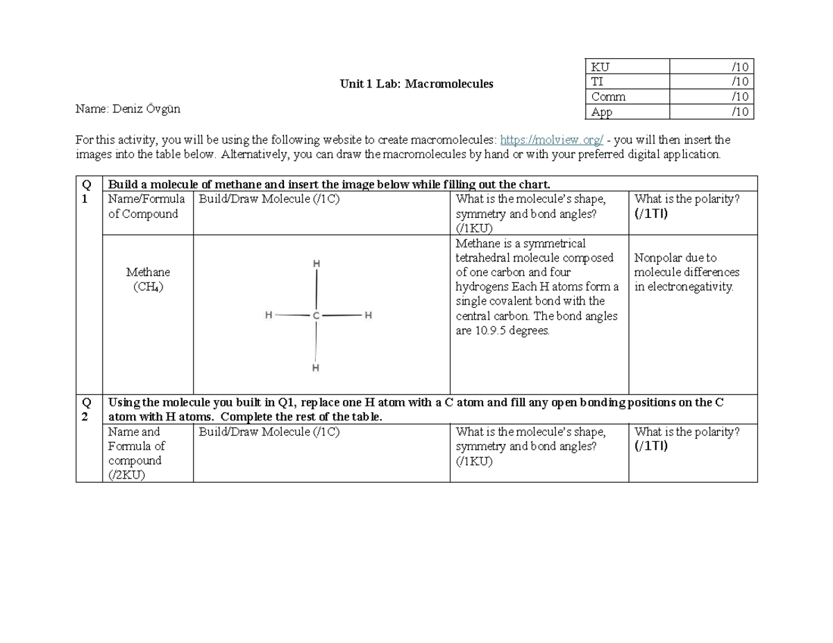 SBI4U Unit 1 Lab: Exploring Macromolecules and Their Properties - Studocu