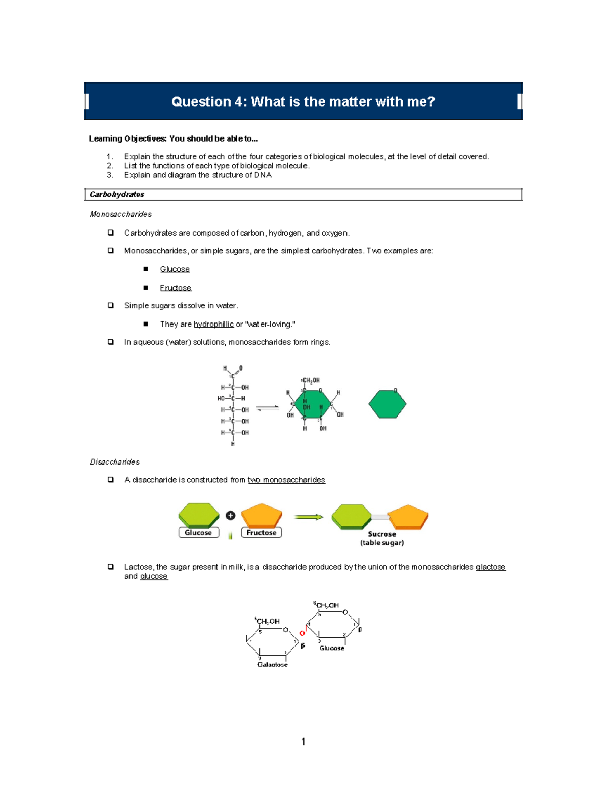 Biological Molecules: Structure, Functions, and DNA Overview (BIO101) - Studocu