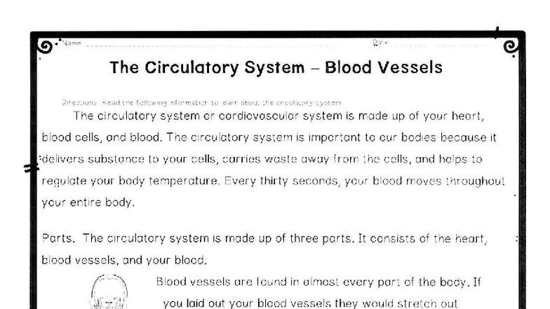 Circulatory System Overview: Blood Vessels & Heart Notes - Studocu