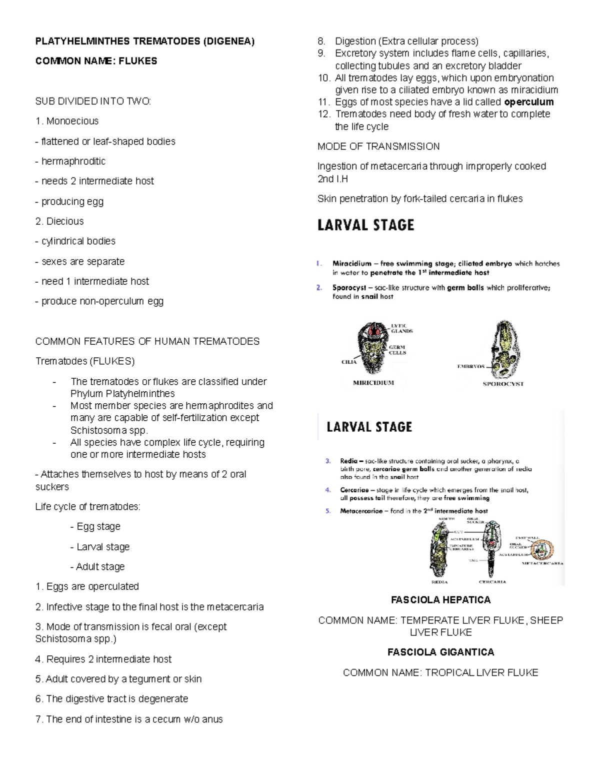 Platyhelminthes Trematodes: Life Cycle, Symptoms, Diagnosis, and ...