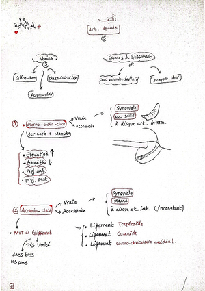 1. Anatomie-du-pharynx (By K - Anatomie du pharynx TH3 Anat ORL - D ...