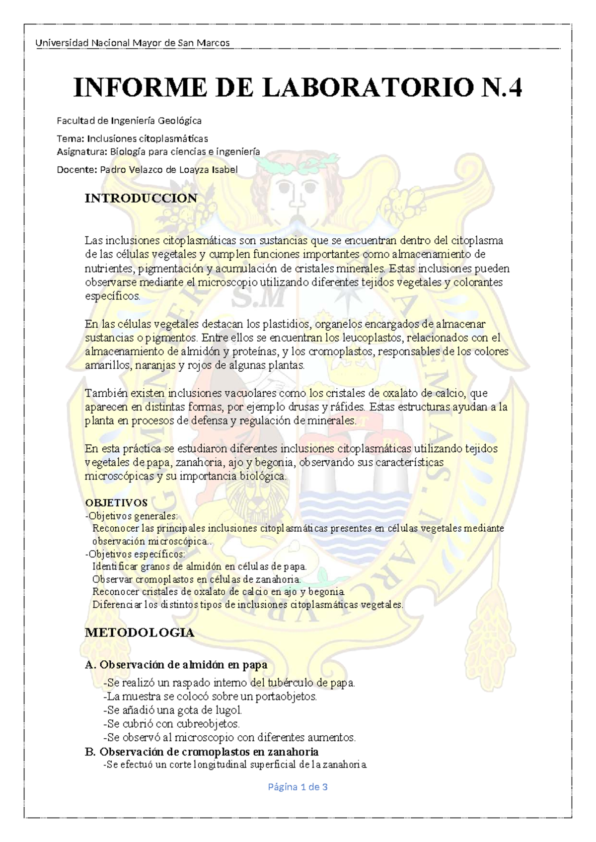 Informe de Laboratorio N.4: Inclusiones Citoplasmáticas en Biología ...