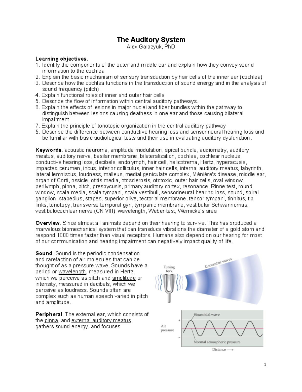 The Auditory and Vestibular Systems: Structure & Function (ANAT 101) - Studocu