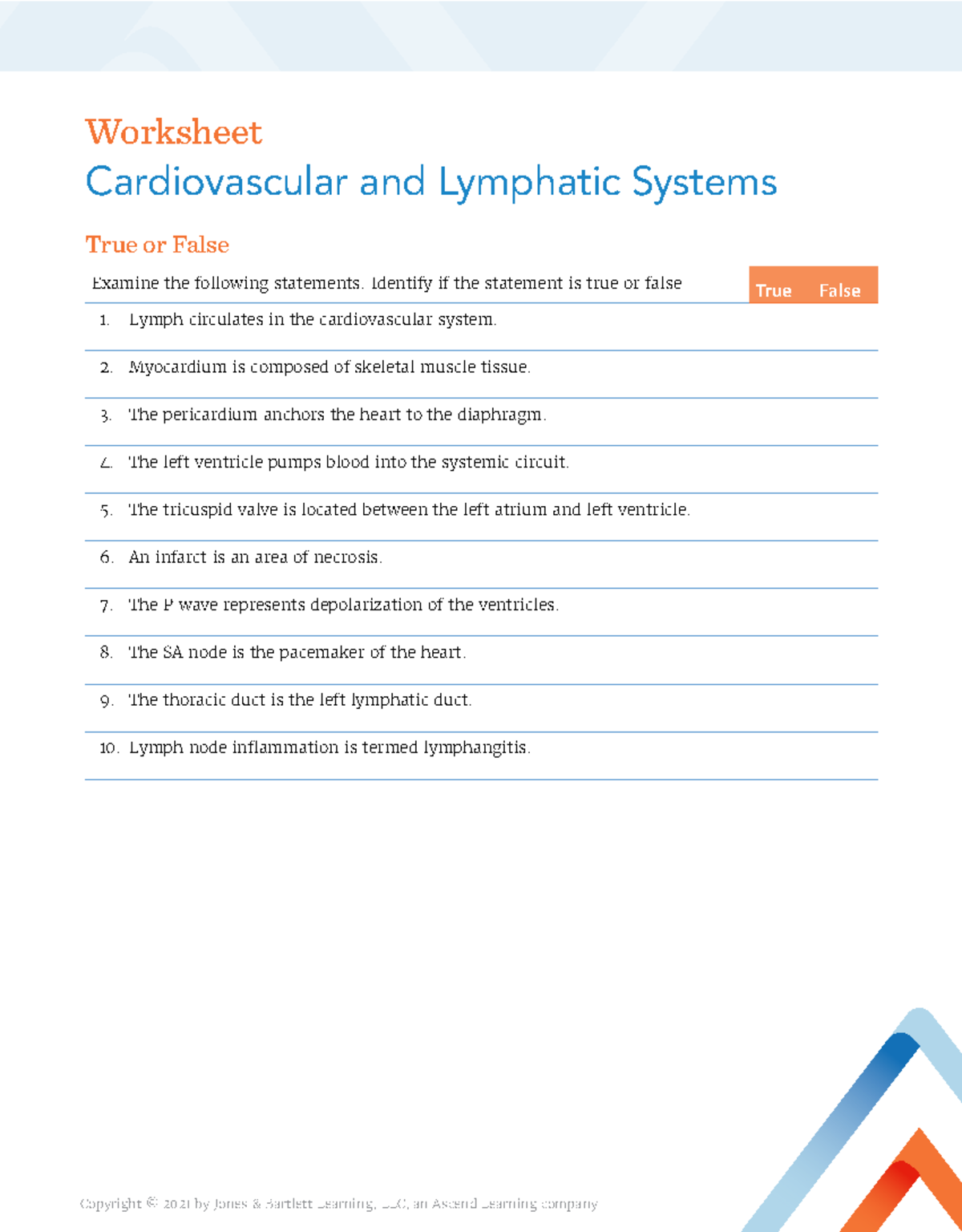 Cardiovascular System Worksheet (BIO 101) - True/False and Matching ...