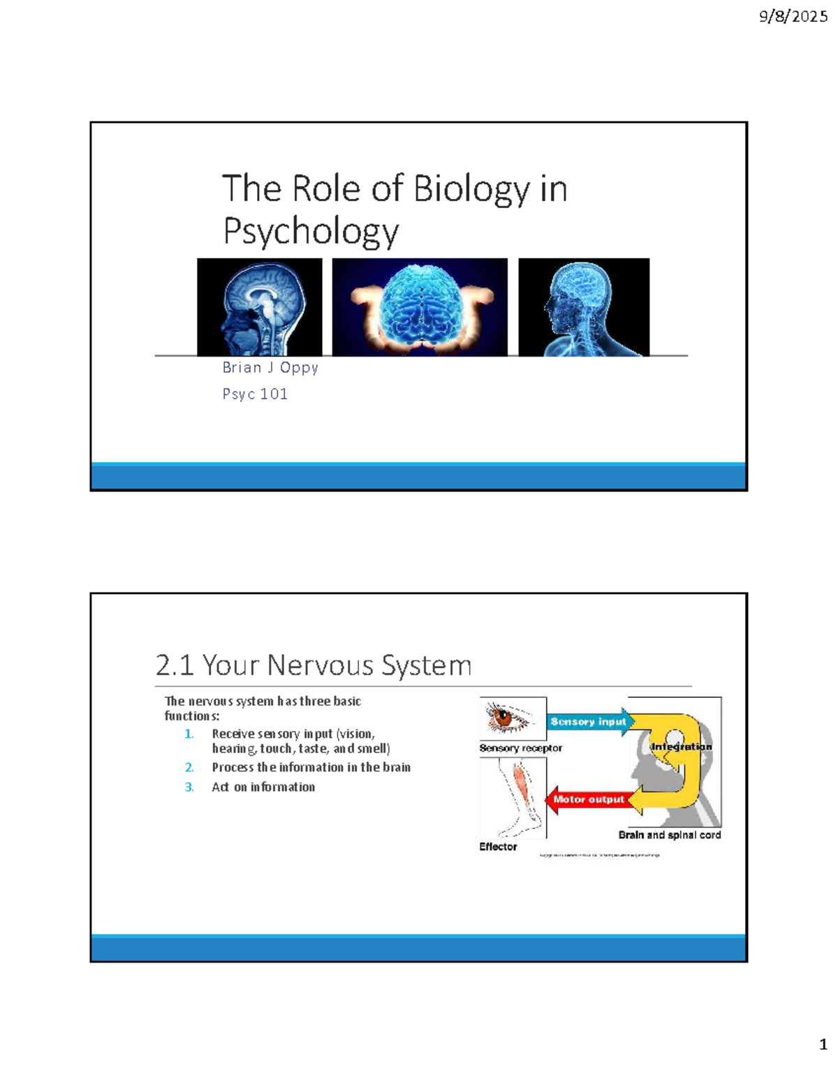 Understanding the Nervous System: Biology in Psychology (Psyc 101 ...