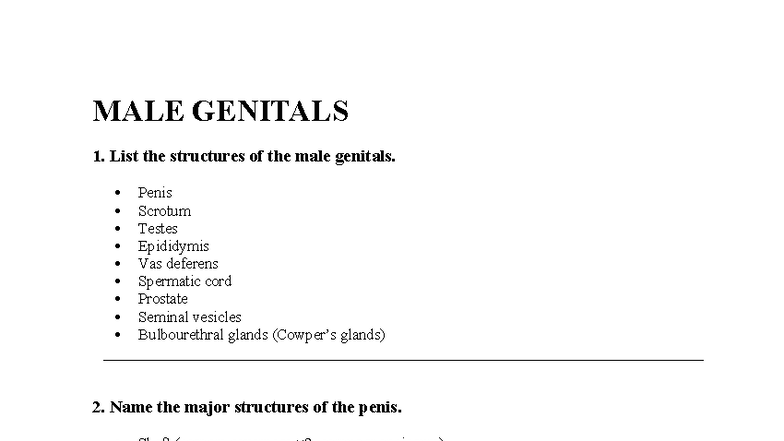 GU System Anatomy and Function: Male and Female Genitalia Overview ...