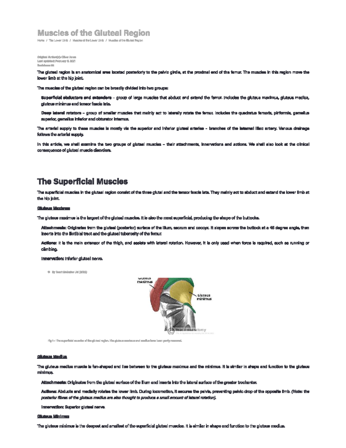 Muscles of the Gluteal Region: Anatomy and Function (Course Code: 2 ...