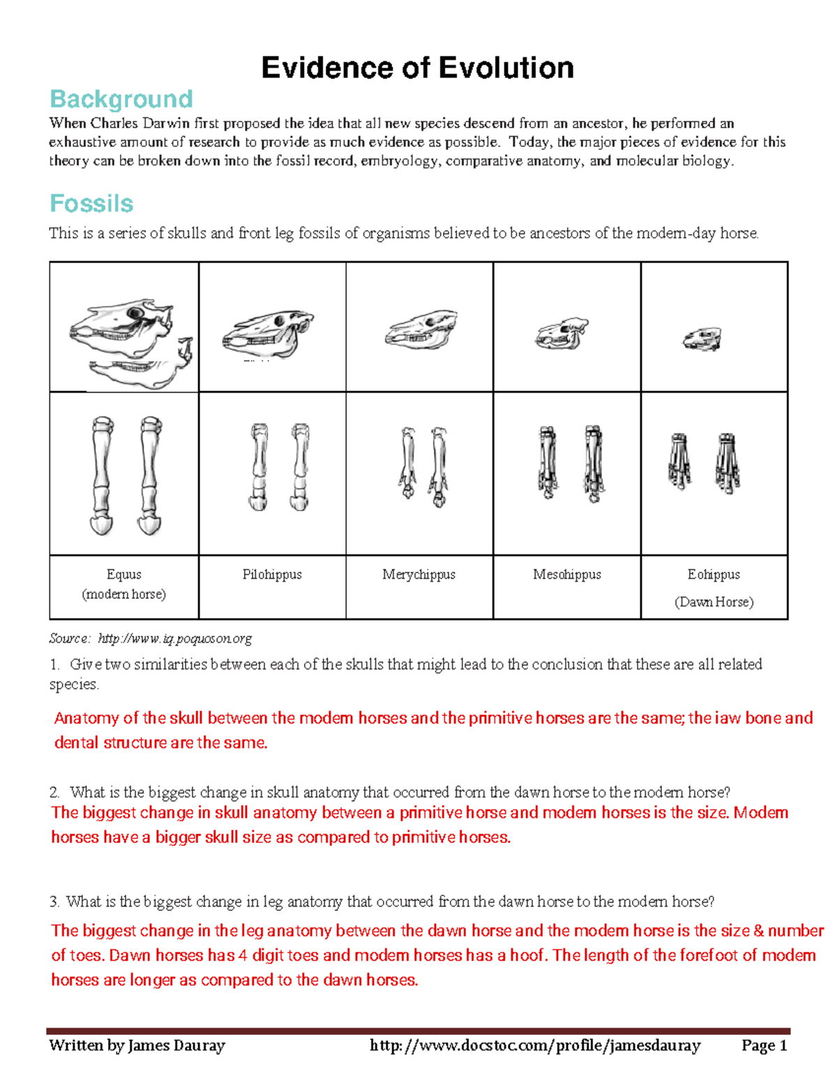 Evidence of Evolution: Analyzing Fossils, Anatomy & Molecular Biology ...