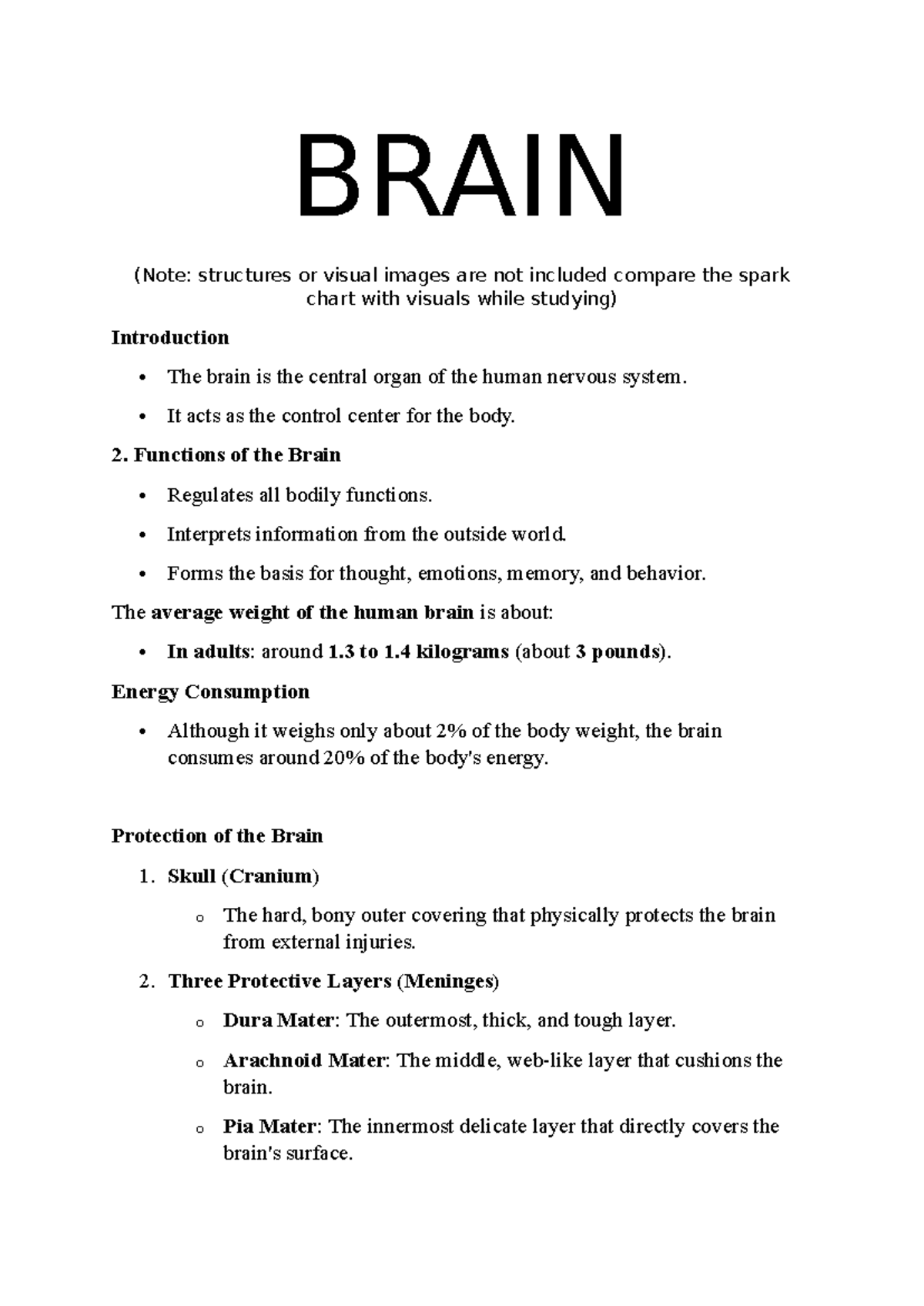 BRAIN 101: Overview of Structures & Functions in Human Anatomy - Studocu