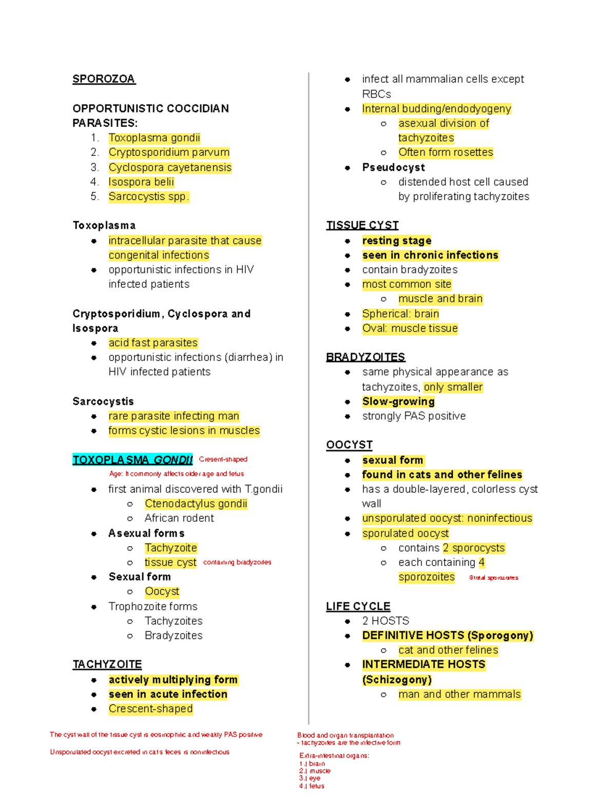Sporozoa Overview: Opportunistic Coccidian Parasites and Their Impact ...