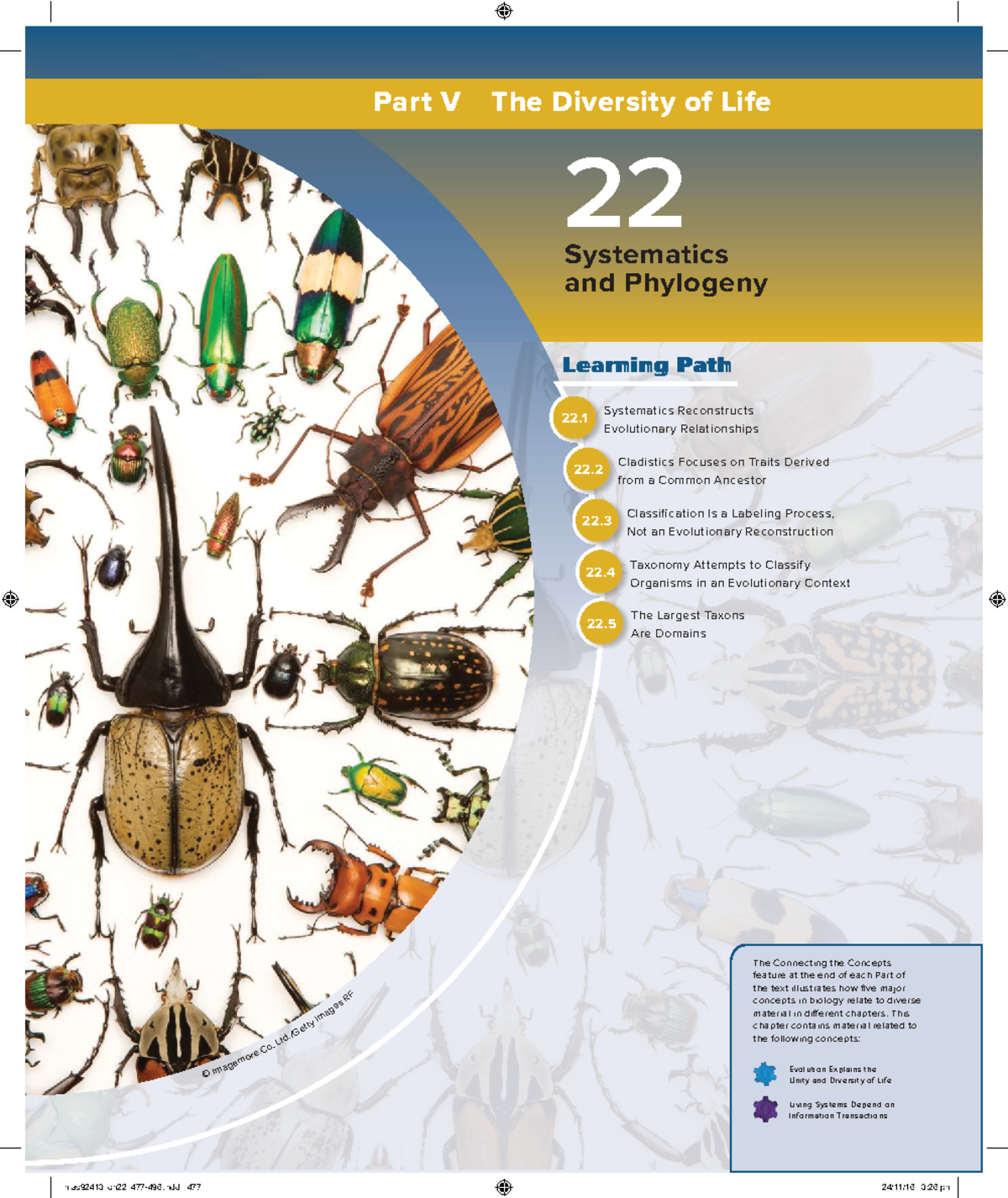 Systematics and Phylogeny: Exploring Evolutionary Relationships in ...
