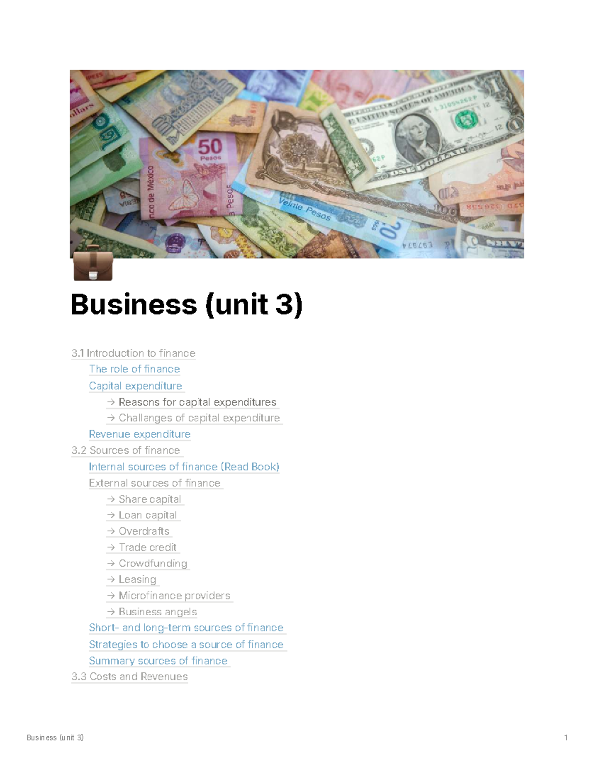 Business (Unit 3) - Comprehensive Notes on Finance Concepts - Studeersnel