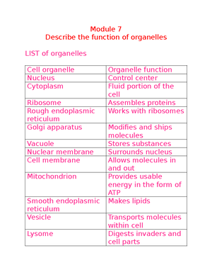 Module Seven - Module 7 Organelles Continued Chloroplasts- capture ...