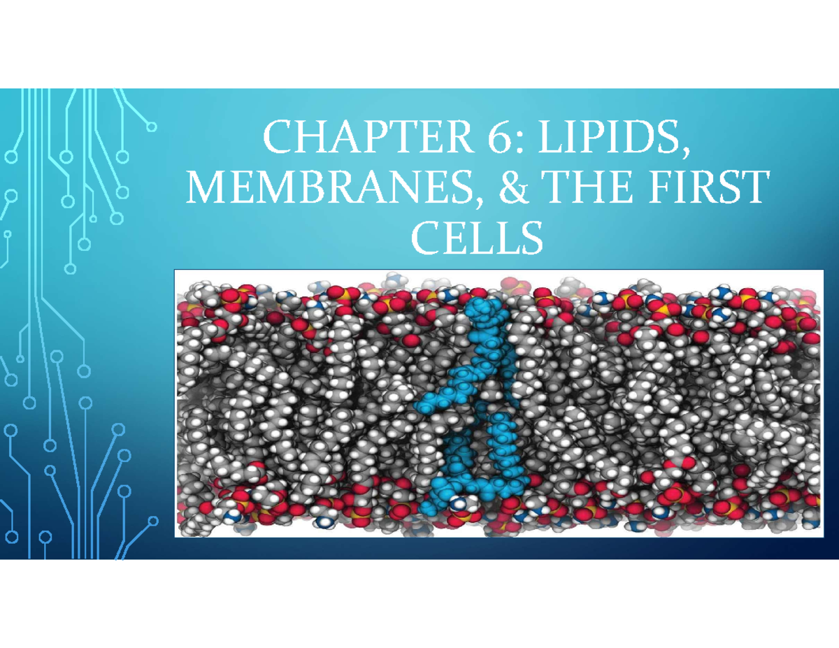 BIO 101: Chapter 6 - Lipids, Membranes, and Cell Structure - Studocu
