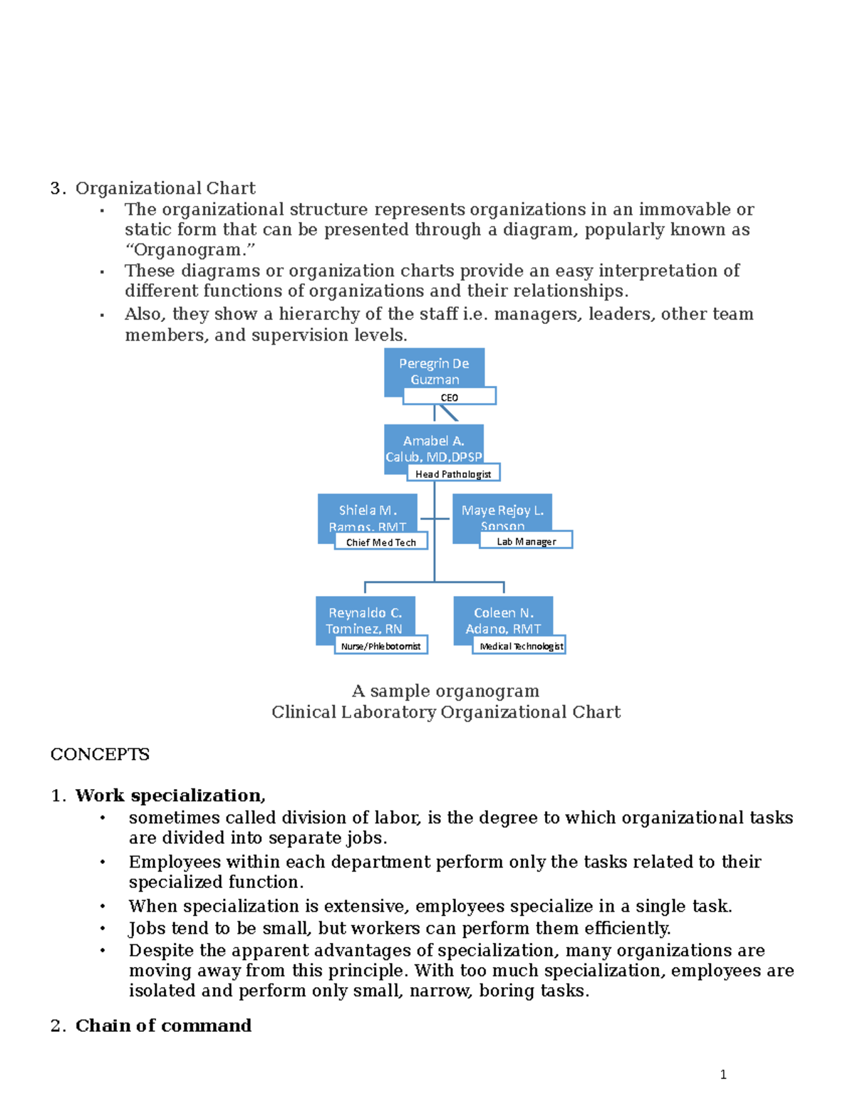 Organizational Structure and Chart Overview for Clinical Labs - Studocu